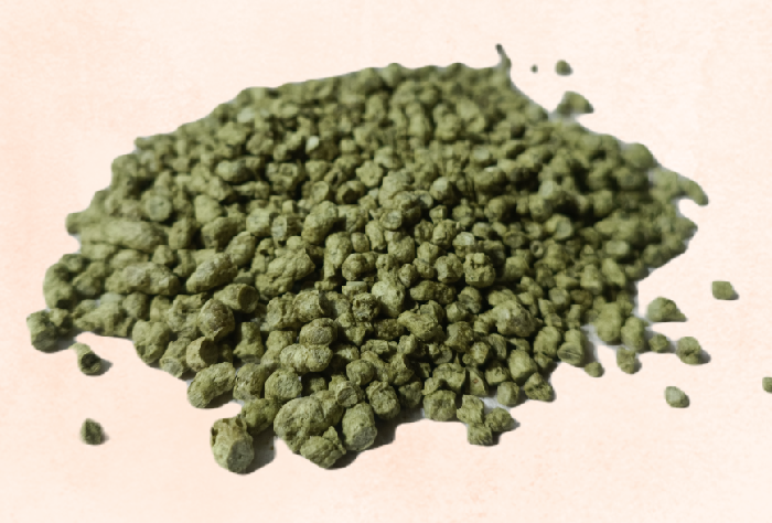 PUMPKIN PROTEIN :: Extrudo